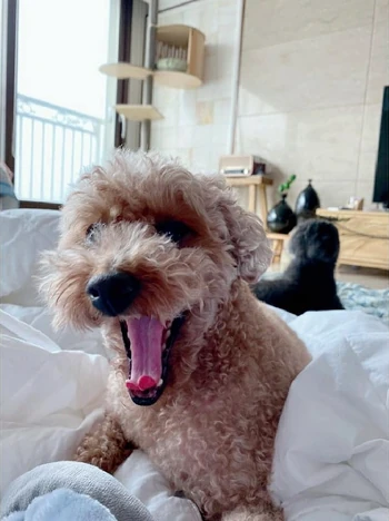 Nanan | Twice Wiki | Fandom