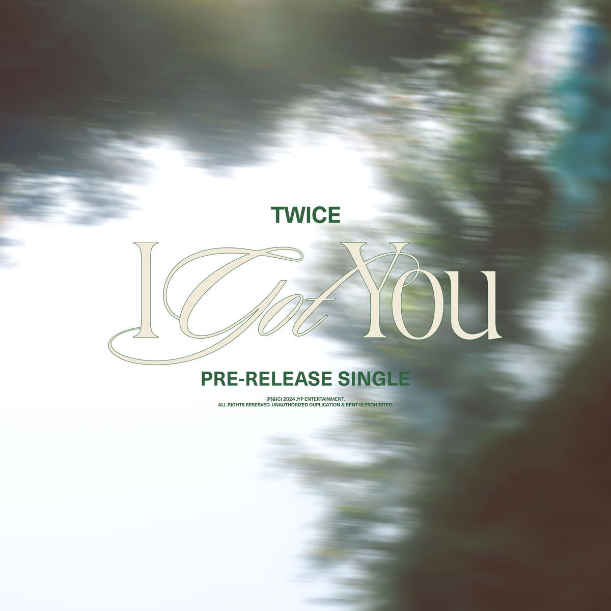 I Got You | Twice Wiki | Fandom