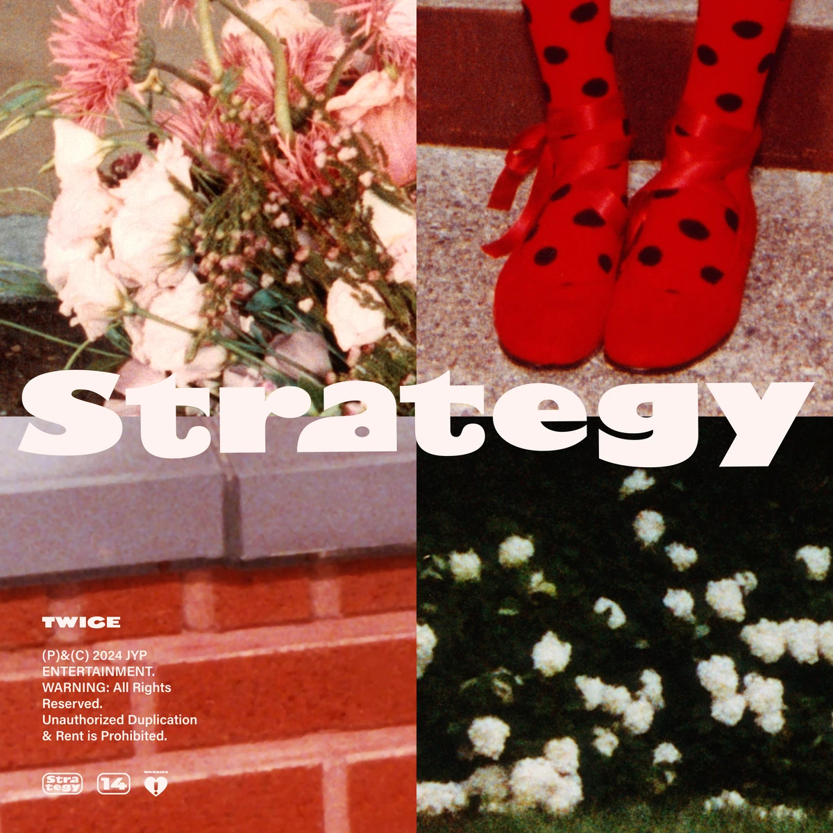 Strategy 2.0 | Twice Wiki | Fandom