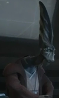 Bogga | The Twilight Fanon Wiki | Fandom