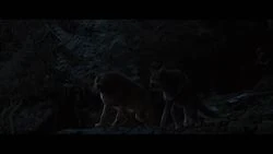 Brady James Fuller II | The Twilight Fanon Wiki | Fandom