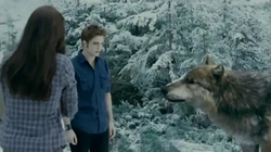 Seth Clearwater | The Twilight Fanon Wiki | Fandom