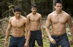 Uley Pack Twilight Saga Wiki Jacob Black Twilight Taylor Lautner
