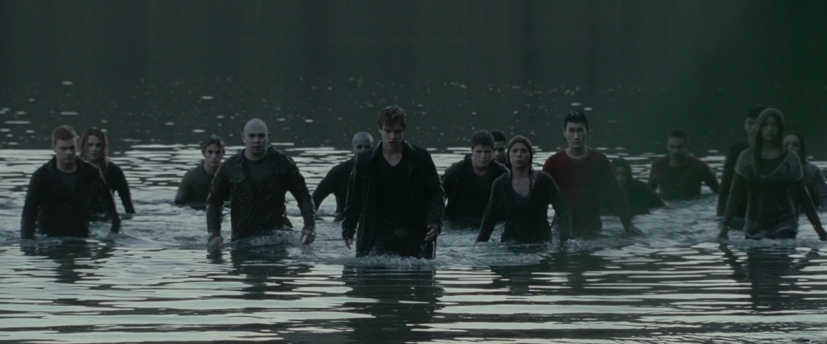 Gallery:Seattle newborn army | Twilight Saga Wiki | Fandom