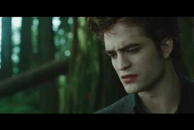 benjamin twilight mate