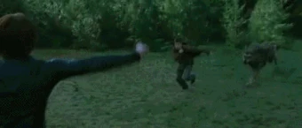 Jacob Black Werewolf Transformation