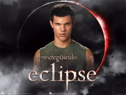 Eclipse Film Poster Officieel The Protector Movie Poster (#1 Of 2)