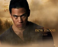 Gallery:Uley pack | Twilight Saga Wiki | Fandom