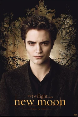 Affiche Officielle Du Film Twilight