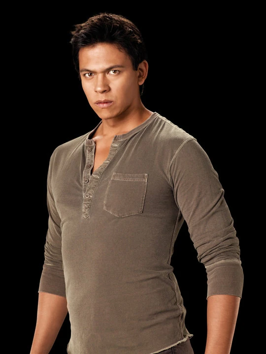 Sam Uley | Wiki Twilight | Fandom