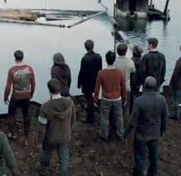 Gallery:Riley Biers | Twilight Saga Wiki | Fandom