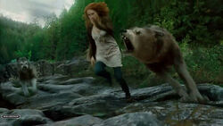 Quil Ateara V | Twilight Saga Wiki | Fandom