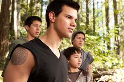 Jacob Black And The Wolf Pack