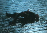 Gallery:Riley Biers | Twilight Saga Wiki | Fandom