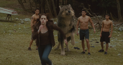 Embry Call | Twilight Saga Wiki | Fandom