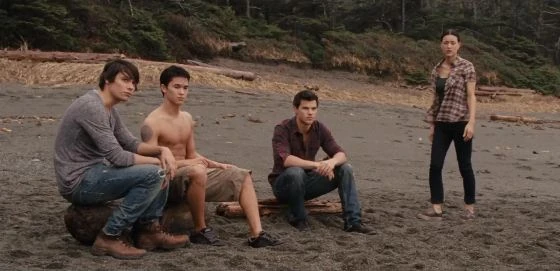 Details To Know About Twilight Werewolf Leah Clearwater Direct The