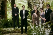 Gallery:Denali coven | Twilight Saga Wiki | Fandom