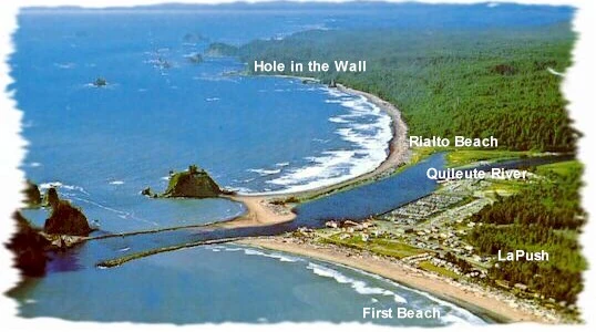 La Push | Wiki Twilight | Fandom