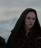 Volturi | Wiki Twilight | Fandom