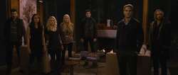 Alistair | Twilight Saga Wiki | Fandom