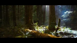 Vampire | Twilight Saga Wiki | Fandom
