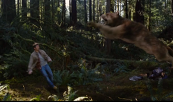 Charlie Swan | Twilight Saga Wiki | Fandom