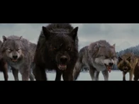 Gallery:Uley pack | Twilight Saga Wiki | Fandom