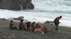 Twilight Jared And Kim