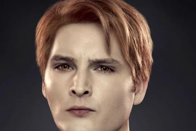 Midnight Sun Twilight Wiki Neoseeker