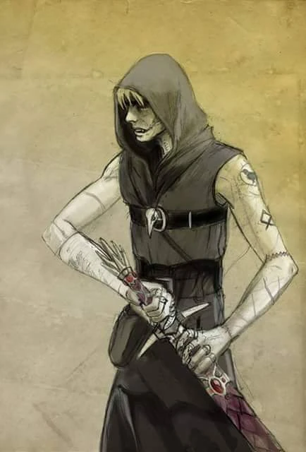 Sorin Veilborn | Twin Mask Wiki | Fandom