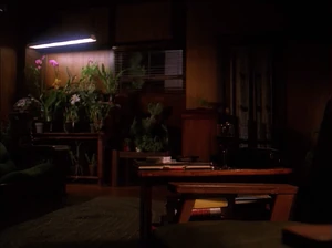 Harold Smith's apartment | Twin Peaks Wiki | Fandom