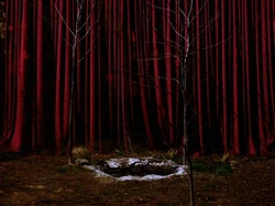 Black Lodge | Twin Peaks Wiki | Fandom