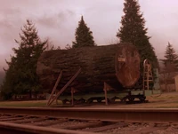 Big Log | Twin Peaks Wiki | Fandom