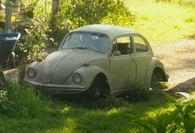 Flower Power | Twisted Metal Wiki | Fandom