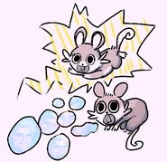 Dig Rat | Twitch Plays Pokémon Wiki | Fandom