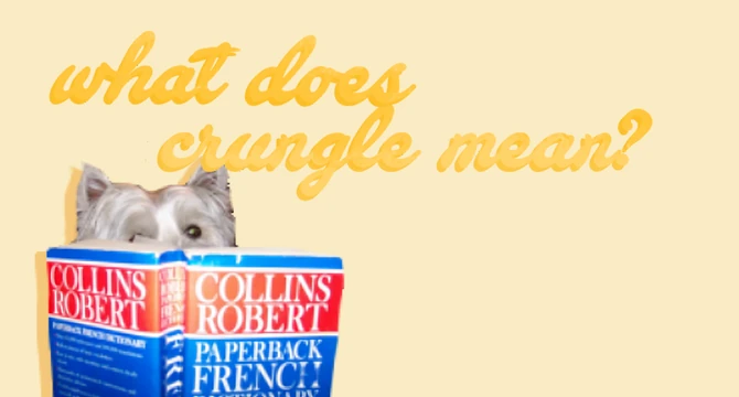 Crungle Wiki | Fandom