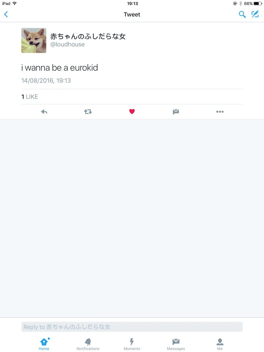 Euro Kids | Crungle Wiki | Fandom