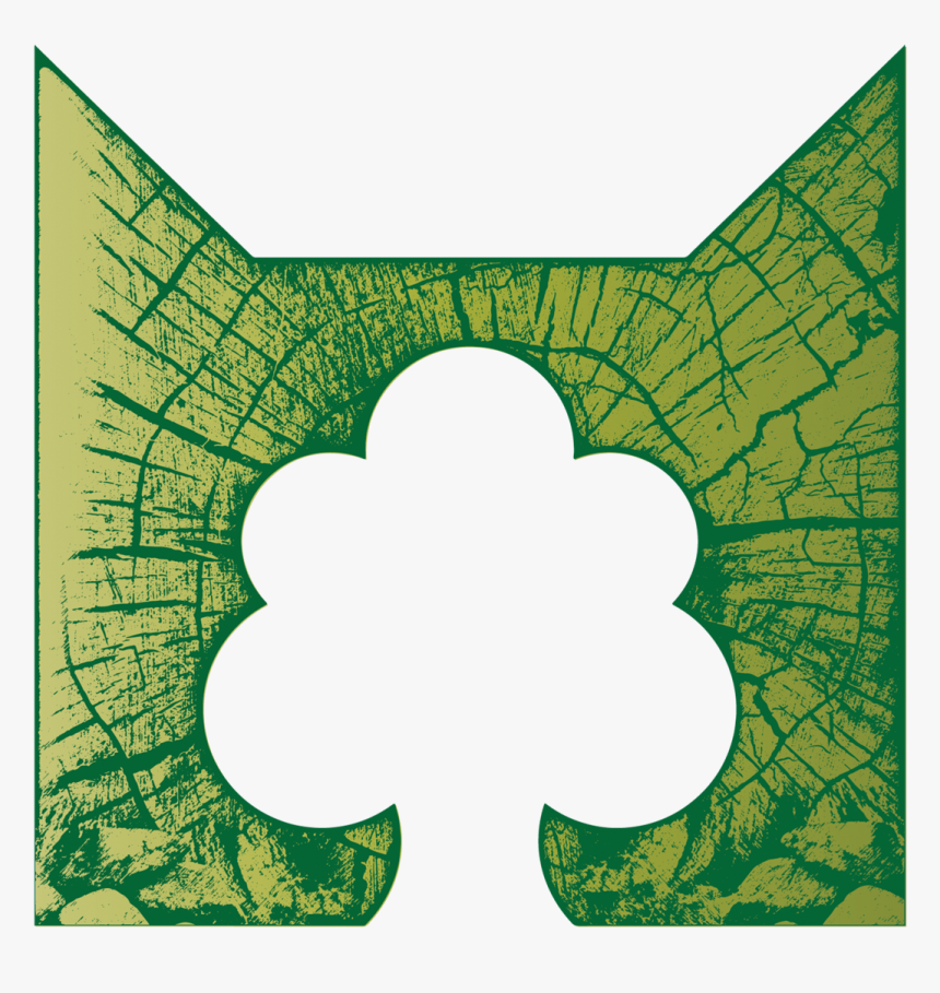 SkyClan | Two Halves Wiki | Fandom