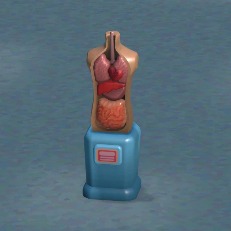 Anatomy Model | Two Point Campus Wiki | Fandom