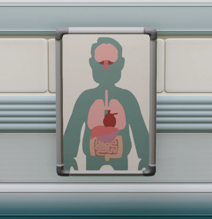 Anatomy Poster | Two Point Hospital Wiki | Fandom