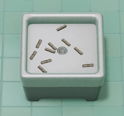 Monobeast | Two Point Hospital Wiki | Fandom