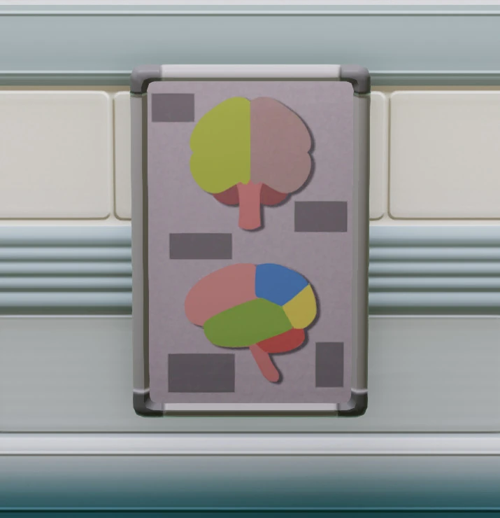 Brain Anatomy Poster | Two Point Hospital Wiki | Fandom