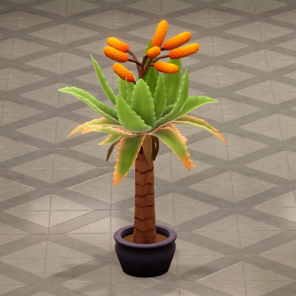 Aloe Marlothii | Two Point Museum Wiki | Fandom