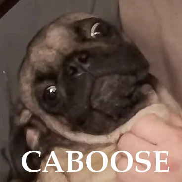 Caboose | Zaibatsupedia | Fandom