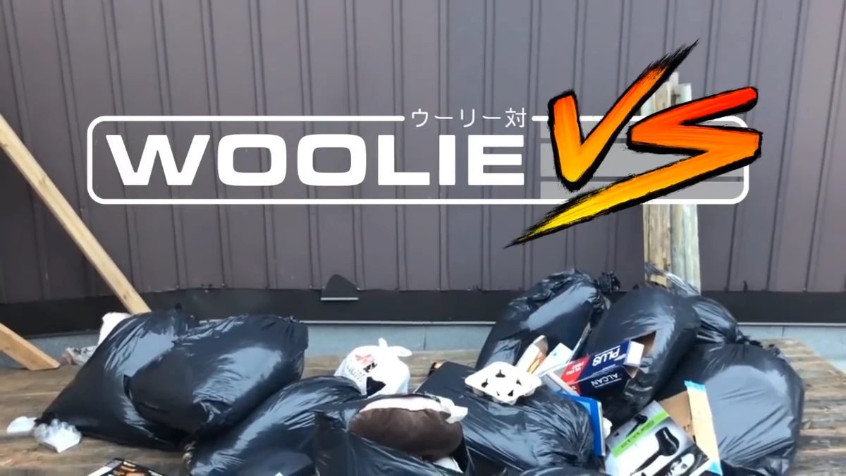 The Woolie Versus Show | Zaibatsupedia | Fandom