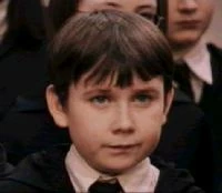 Neville Longbottom | The Waves, They Crash and Burn Wiki | Fandom