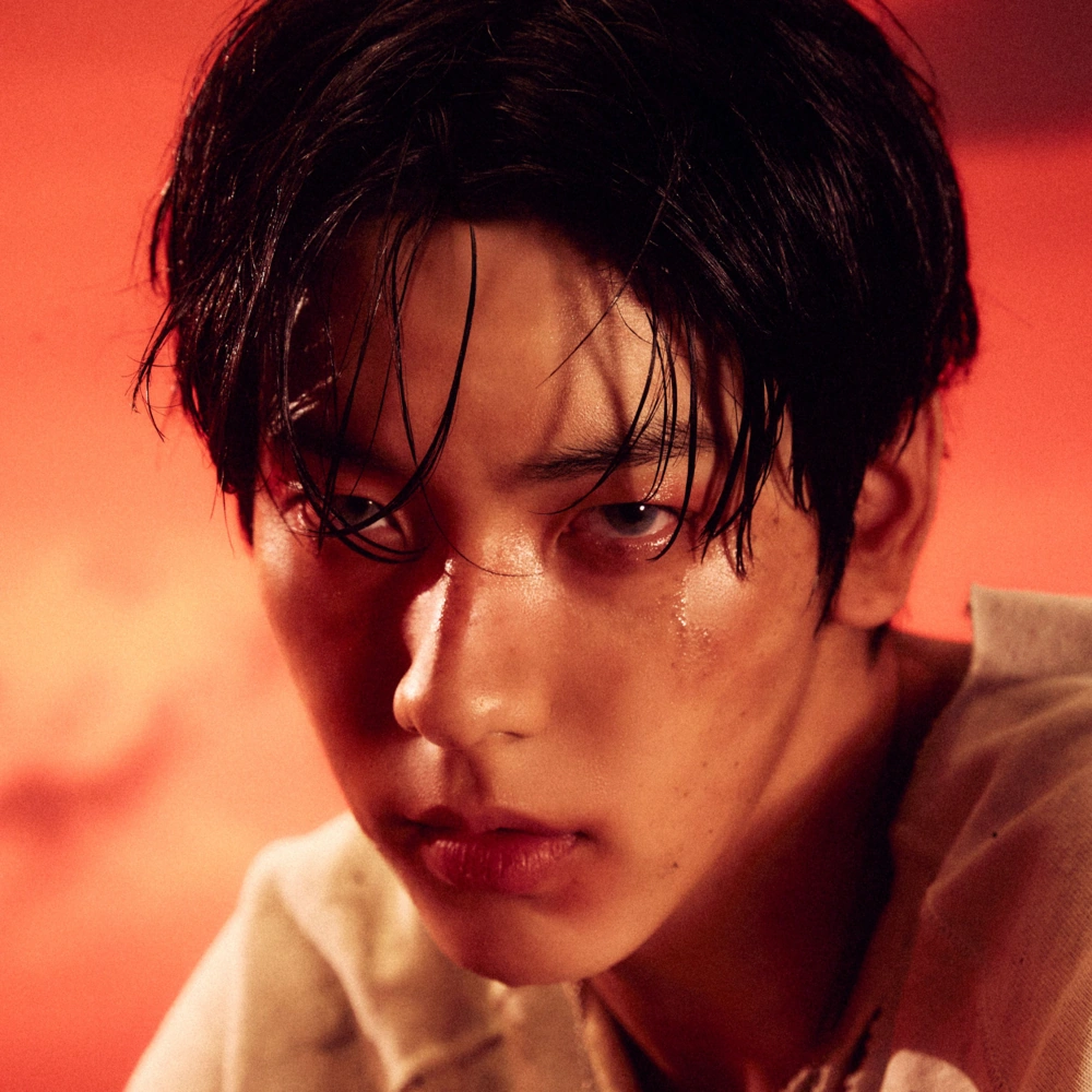 Userboxes | TXT Wiki | Fandom