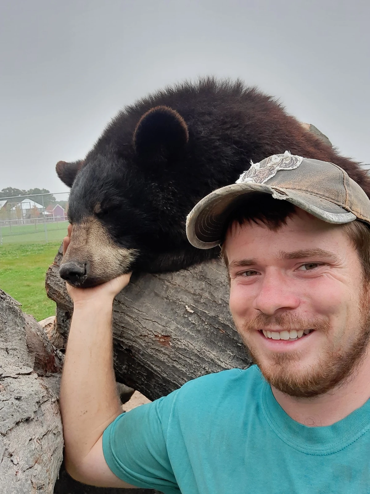 Tyler | Ty Among Animals Wiki | Fandom