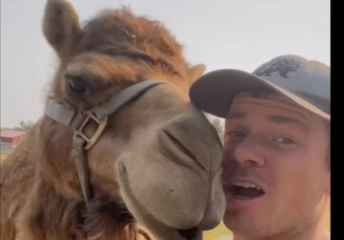 April | Ty Among Animals Wiki | Fandom