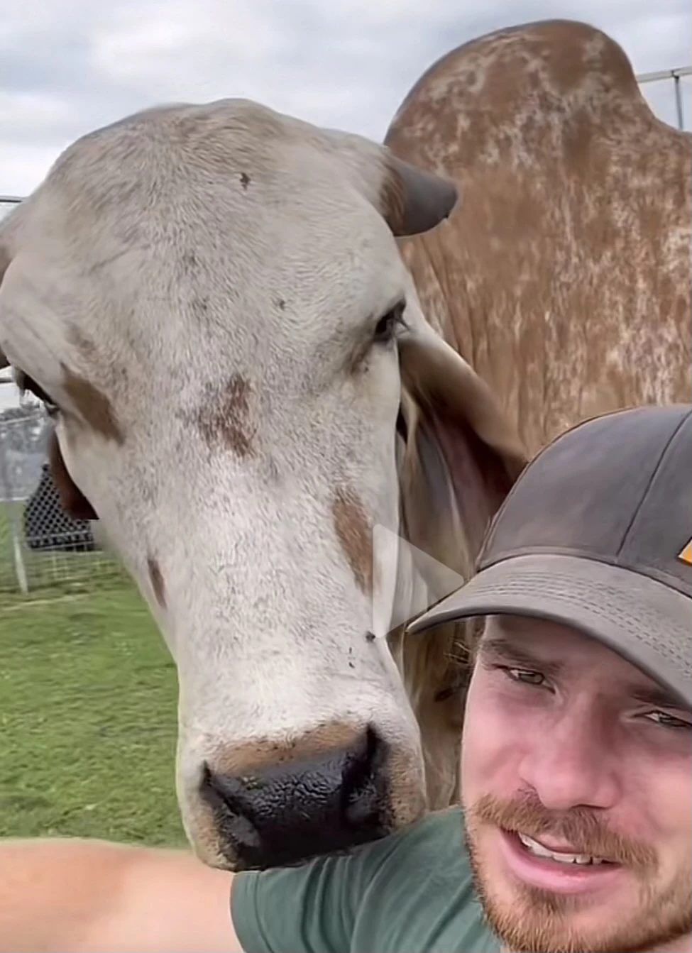 Lloyd | Ty Among Animals Wiki | Fandom